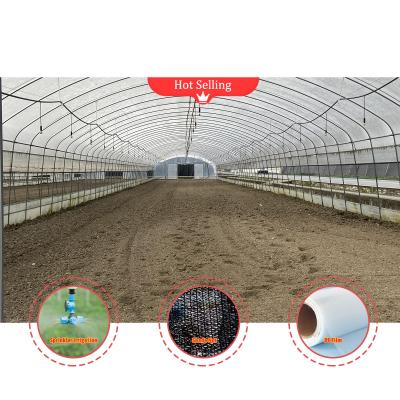 China Customizable Mushroom Greenhouse with Manual or Electric Roll Up Ventilation for sale