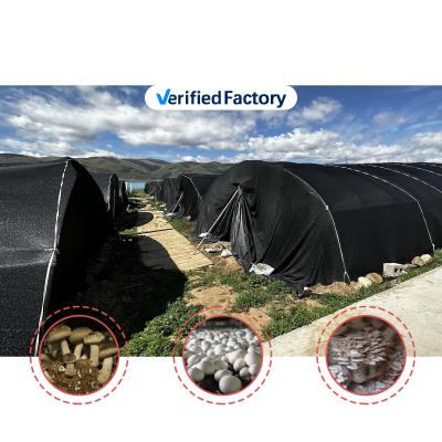 China Side Height 1.2-1.8m and Arch Space 1-1.5m Mushroom Poly Tunnel Greenhouse UV Protected for sale