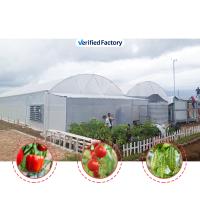 China Flower and Vegetable Growing Hothouse Quonset Hut Conservatory Growing House Gutter-connected Large Greenhouses with Roof Ventilation for sale