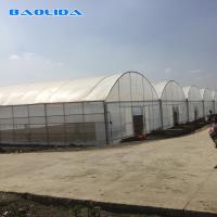 China 8-60m Length High Tunnel Plastic Film Greenhouse Customizable Size For Agriculture And Flower Production for sale