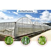 China Baolida Custom Automatic System Greenhouse Tropical Hydroponic System Multi-span Seedling Greenhouse for sale