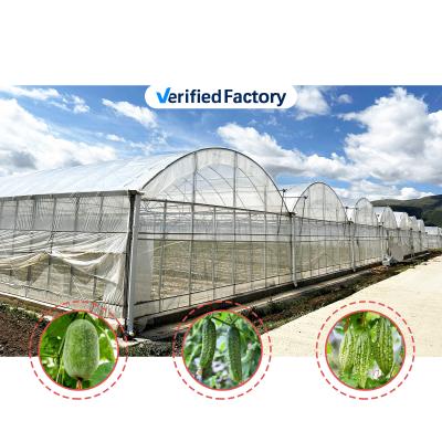 China Baolida Custom Automatic System Greenhouse Tropical Hydroponic System Multi-span Seedling Greenhouse for sale