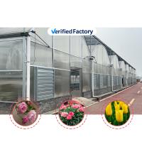 China Thermostat Waterproof Plant Growing Hydroponics System Tunnel Large Greenhouses For Flower for sale
