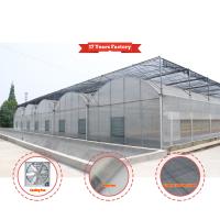 China Economical Custom Design Automatic Shading System Multi-span Strawberry Greenhouses for Vegetable Fruit for sale