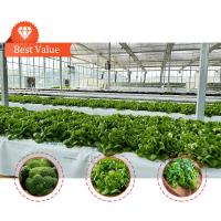 China High Intensity Multi-span Arch Plastic Film Greenhouse Hot Dip Galvanized Steel Pipe Agriculture Greenhouse for sale
