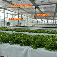 China Vegetable Production Agricultural Seeds Strawberry Greenhouses Multi Tunnel for sale