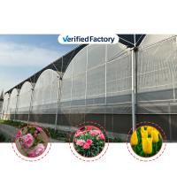 China Agricultural Tunnel Greenhouse Plastic Film Multi-span Strawberry Greenhouse for Sale With Ventilation System for sale