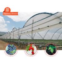 China Experience Superior Berry Cultivation with BAOLIDA Multi-Span Greenhouse 10-70m Length and Advanced Irrigation System for sale