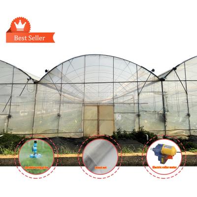 China Large PE Film Greenhouse 50m Length 7-10m Span Width for sale
