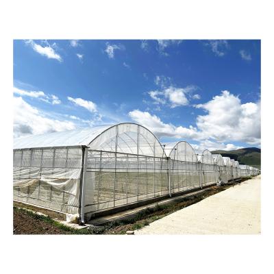 China BAOLIDA 24x40m Single-Span Greenhouse With 150micron PE Film for sale