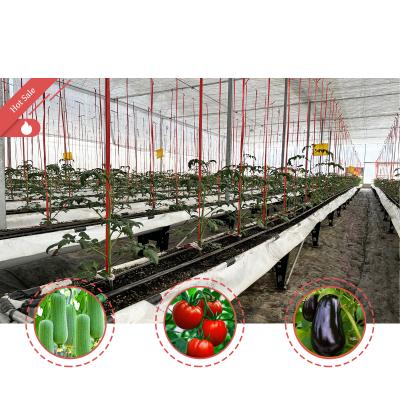 China Micro-sprinkler System Galvanized Steel Frame Greenhouse 6m-12m Span with 150/200micron PE Film for sale