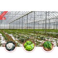 China 24x40m Galvanized Steel Greenhouse with 150micron PE Film for sale