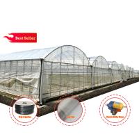 China Strawberry Growing Side Ventilation Single Span Greenhouse For Agriculture for sale