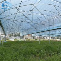 China 6m-12m Multi-Span Greenhouse Kit with PE Film and 10-Year Warranty for sale