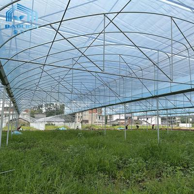 China 6m-12m Multi-Span Greenhouse Kit with PE Film and 10-Year Warranty for sale