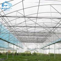 China 6m-12m Multi-Span PE Film Greenhouse Kit with Hot Dip Galvanized Steel Frame and Customizable Micro-sprinkler System for sale