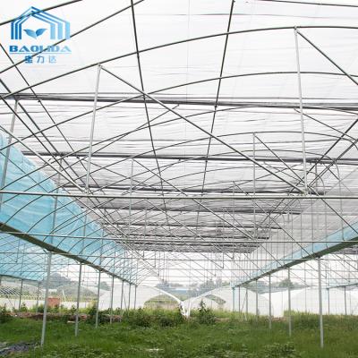 China 6m-12m Multi-Span PE Film Greenhouse Kit with Hot Dip Galvanized Steel Frame and Customizable Micro-sprinkler System for sale