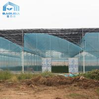 China Large Multi-Span PE Film Greenhouse 6m-12m Width 10 Years Warranty for sale