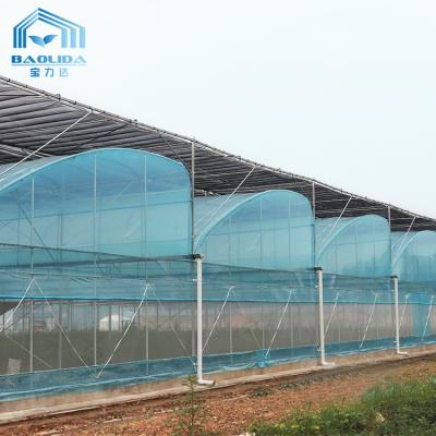 China Multi-Span Agricultural Greenhouse Kit 6m-12m with 10-Year Warranty for sale