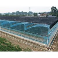 China Multi-Span PE Film Greenhouse Kit 6m-12m Width 10 Years Warranty for sale
