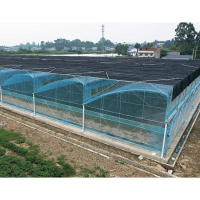 China Multi-Span PE Film Greenhouse Kit 6m-12m Width 10 Years Warranty for sale