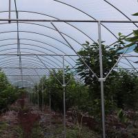 China Large Size Multi-Span Greenhouse with PE Material for Grape and Cherry Cultivation for sale
