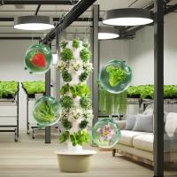China 30L 11 Layer Agriculture Cultivo Hidroponic Vertical Hydroponic Tower Growing Lettuce for sale