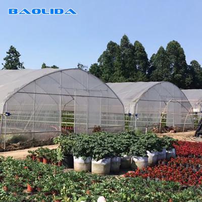 China Steel Frame Tunnel Plastic Greenhouse / PE Film Plastic Tomato Greenhouse for sale