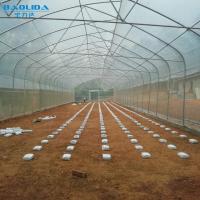 China Vegetable Single Span Greenhouse Polycarbonate Sheet Covering for sale