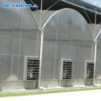 China Oem Available Single / Multi Span Negative Fans Greenhouse Cooling System for sale