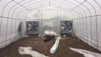 China Vegetable Single Span Greenhouse Polycarbonate Sheet Covering for sale