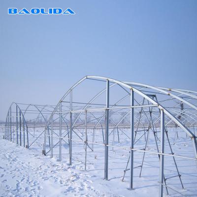 China Big Size Plastic Poly Tech Greenhouse / Agricultural Single Span Greenhouse for sale