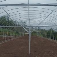 China Single Span Greenhouse Tunnel Plastic Film Covering Flower Vegetable Support for sale