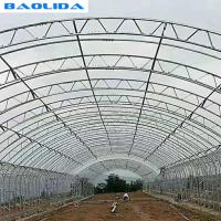 China Double Arches Tunnel Plastic Greenhouse Strong Structure Cold Area Support for sale