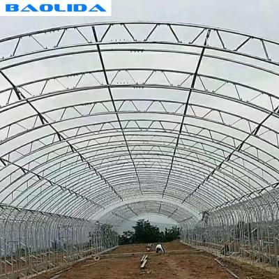 China Double Arches Tunnel Plastic Greenhouse Strong Structure Cold Area Support for sale