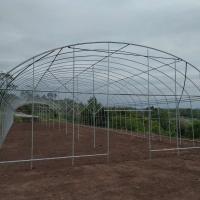 China PE Tunnel Single Span Greenhouse Hot Galvanized Steel Transparent Color for sale
