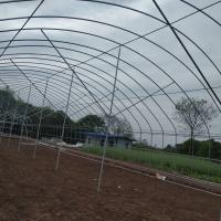 China Polyethylene Film Singlespan Growing Greenhouse For Vegetables Fruits for sale