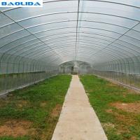 China Polyethylene Film Singlespan Growing Greenhouse For Vegetables Fruits for sale
