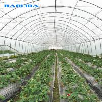 China Sheet Covering Shed Agricultural Single Span Plastic Tunnel Greenhouse for sale