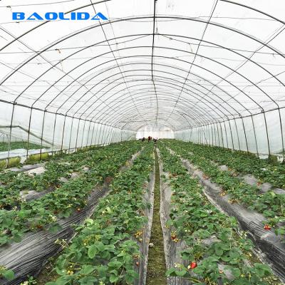 China Sheet Covering Shed Agricultural Single Span Plastic Tunnel Greenhouse for sale