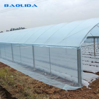 China Polyethylene Film Singlespan Growing Greenhouse For Vegetables Fruits for sale