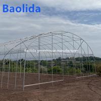 China Singlespan Growing Farming Polyethylene Film Greenhouse For Vegetables for sale