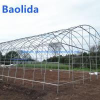 China Vegetable Growing Plastic Tunnel Greenhouse Ultraviolet Proof for sale
