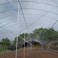 China Singlespan Growing Farming Polyethylene Film Greenhouse For Vegetables for sale