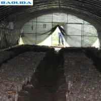 China Vegetable Growing Plastic Tunnel Greenhouse Ultraviolet Proof for sale