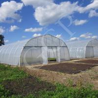 China Classic Standard Greenhouse Tunnel Plastic Sheet Covering Vegetable Growth for sale