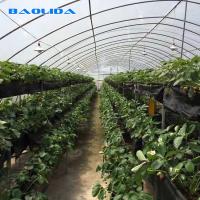 China Agricultural Plastic Film Greenhouse Simple Structure Easily installed for sale