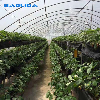 China Agricultural Plastic Film Greenhouse Simple Structure Easily installed for sale