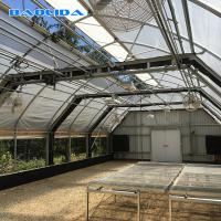 China Plastic Automated Blackout Light Deprivation Greenhouse Single Span Agricultural for sale