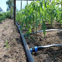 China Greenhouse Drip Irrigation System / Overhead Sprinkler System For Greenhouse for sale